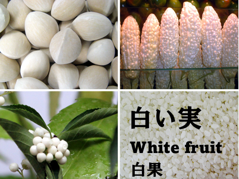 Feature White Fruit | Flower Database